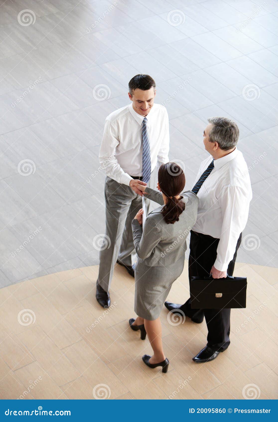Handshaking partners stock photo. Image of company, gesturing - 20095860