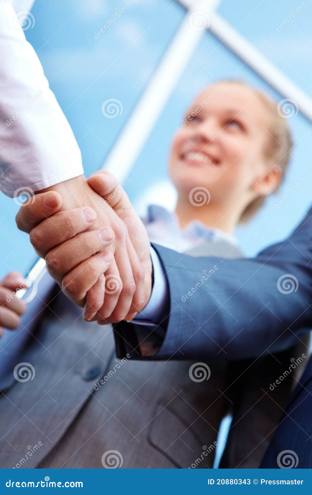 Handshaking partners stock image. Image of female, businesswoman - 20880343