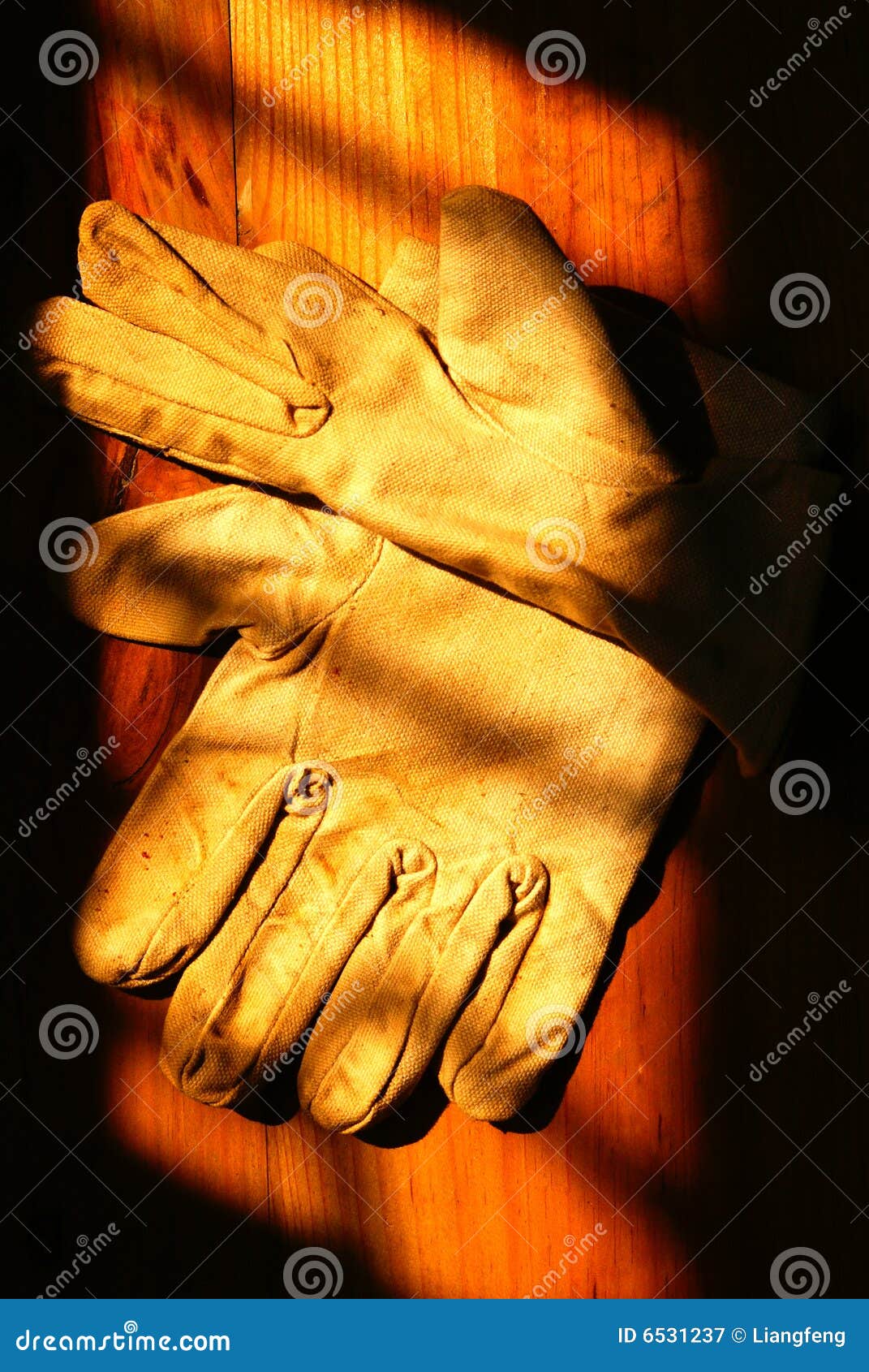 Handskar fotografering för bildbyråer. Bild av bruk, säkert - 6531237