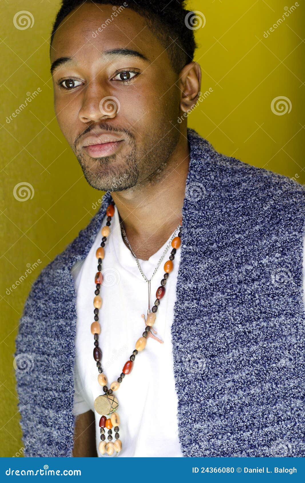 Handsome African-American Man Stock Photo - Image of black, imari: 24366080