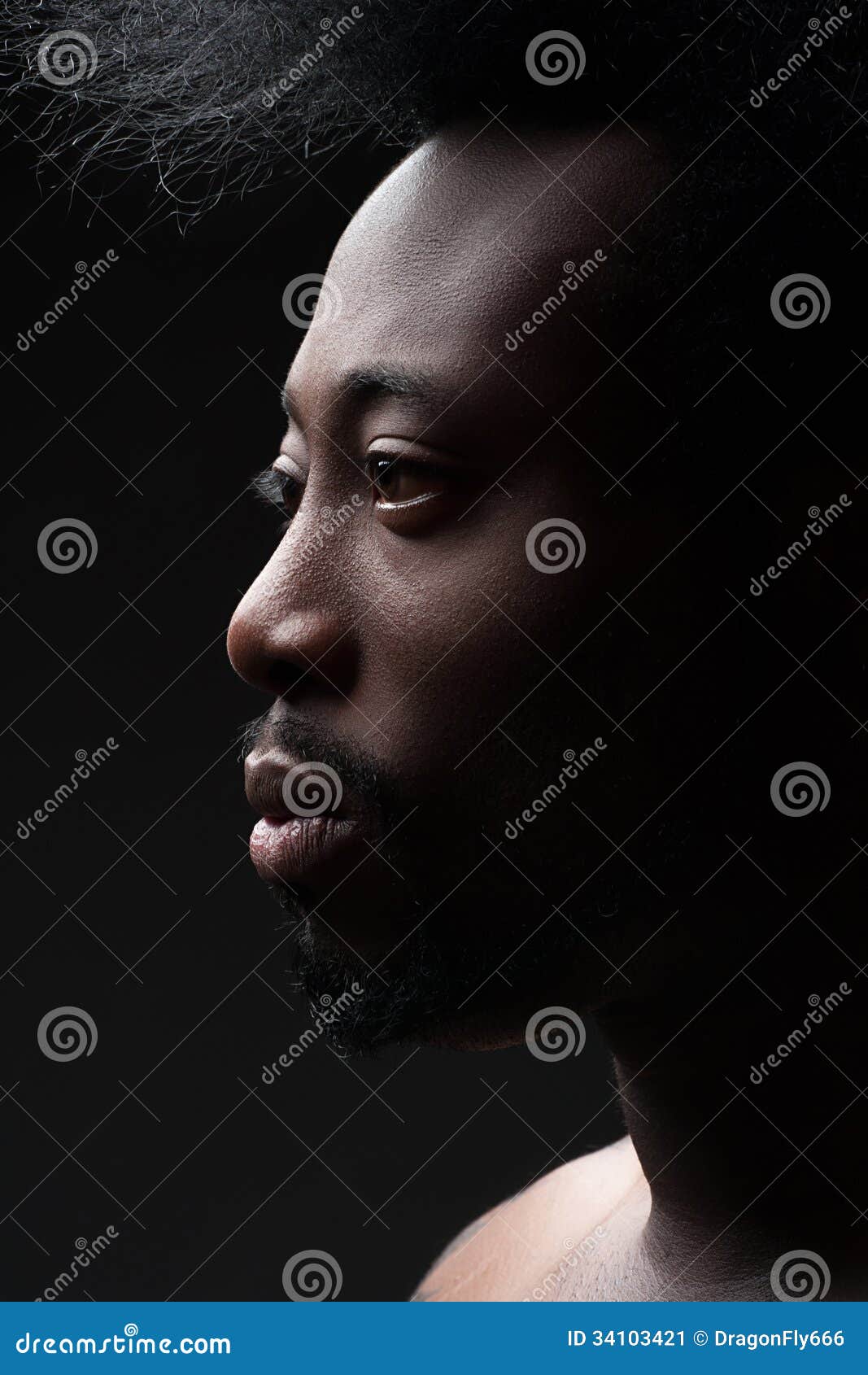 Handsome African American Man Stock Image - Image of hairdo, fashion ...