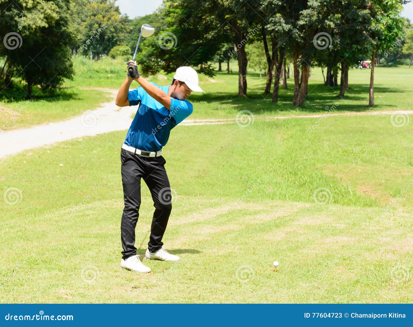 Handsome Asian Golfers Man Putt Golf. Stock Image - Image of golfing ...