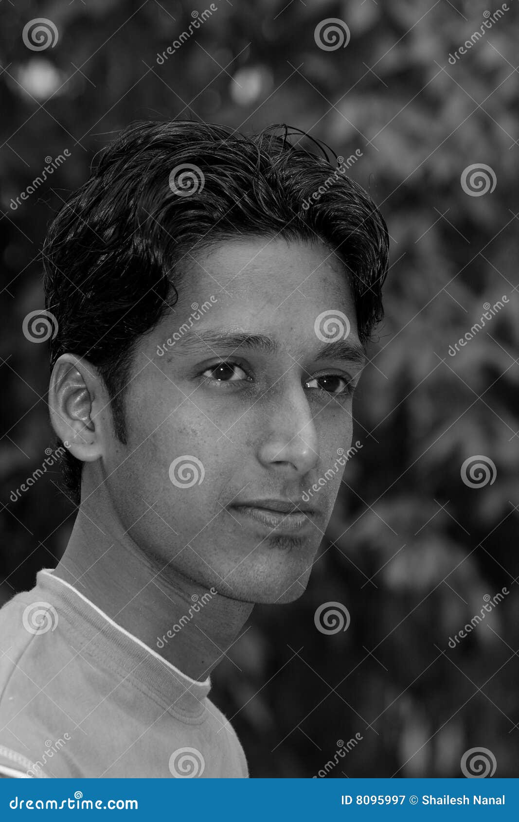 Handsome Asian man stock image. Image of asian, determination - 8095997