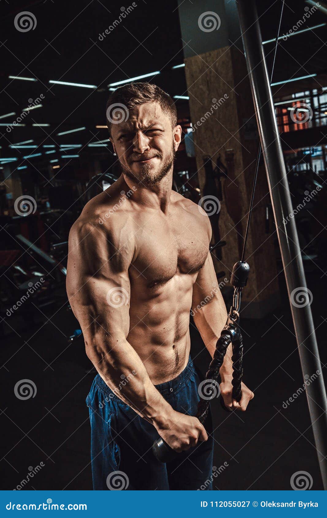 Handsome Athletic Man Execute Exercise for Triceps in the Gym Stock ...