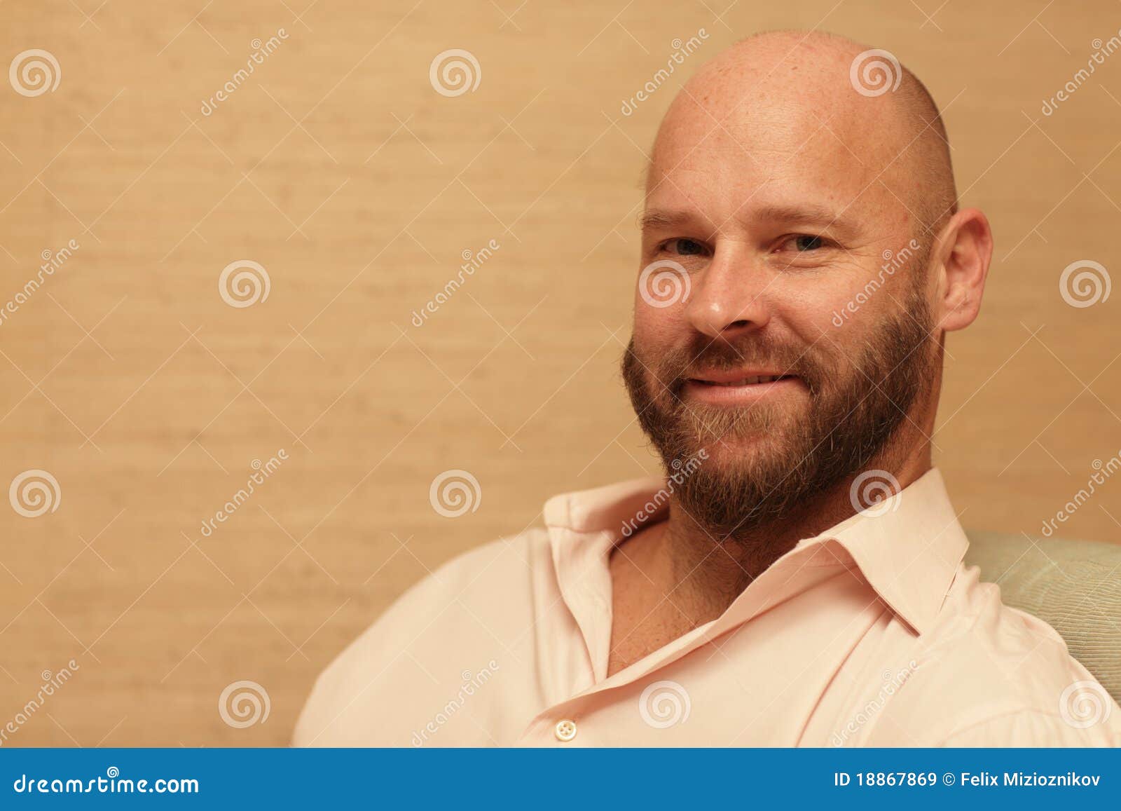 Handsome bald man stock image. Image of pleased, male - 18867869
