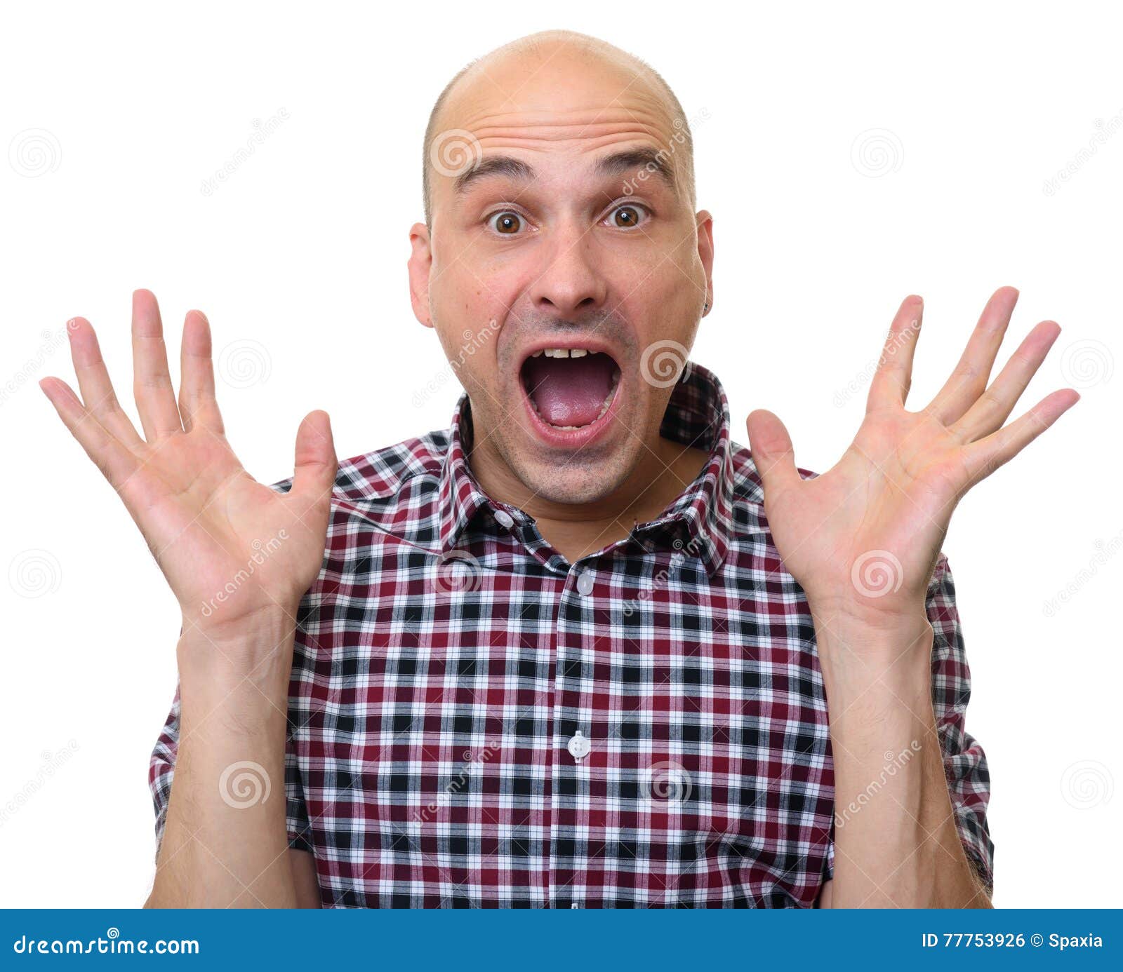 Handsome Bald Man Leading His White Horse Stock Photo | CartoonDealer ...