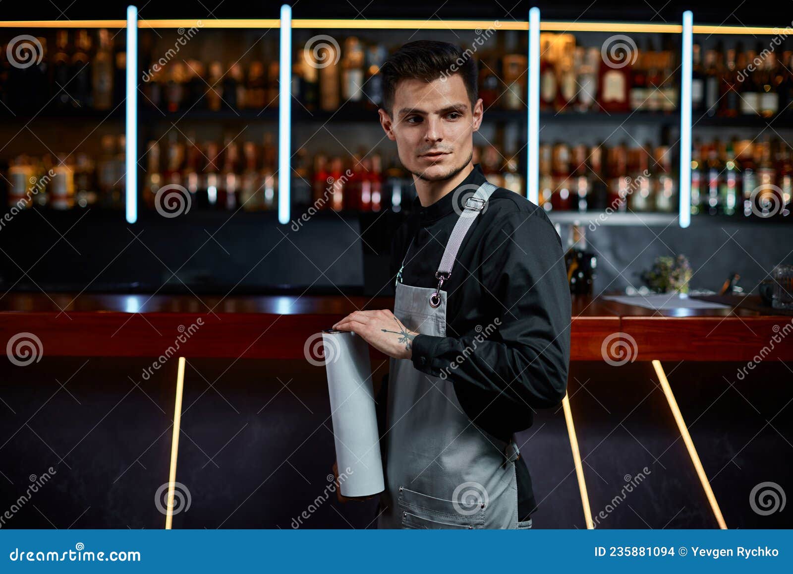 Barman in Apron Standing at the Bar Counter Stock Photo - Image of ...