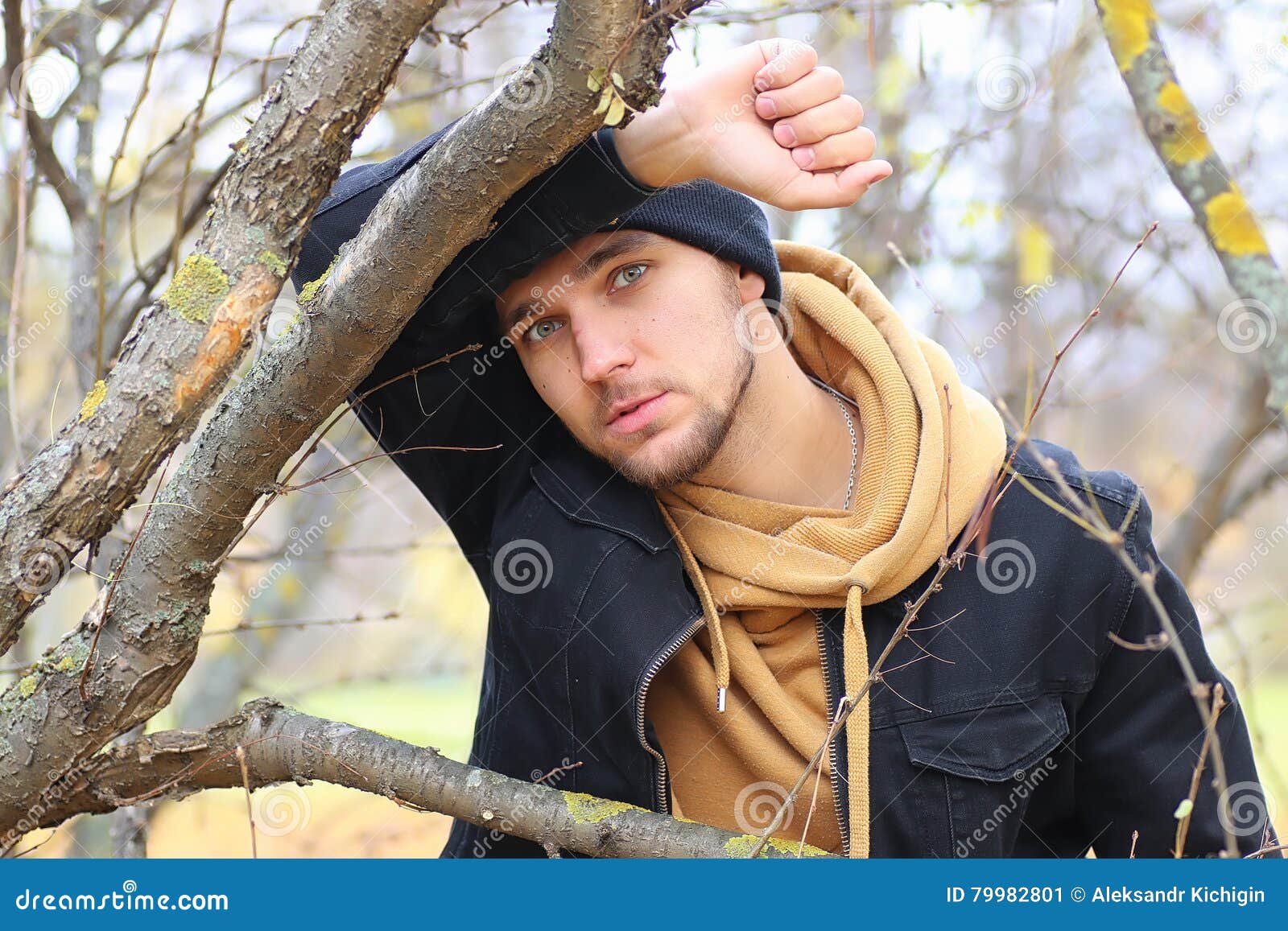 Handsome Beard Man in Autumn Stock Image - Image of casual, nature ...