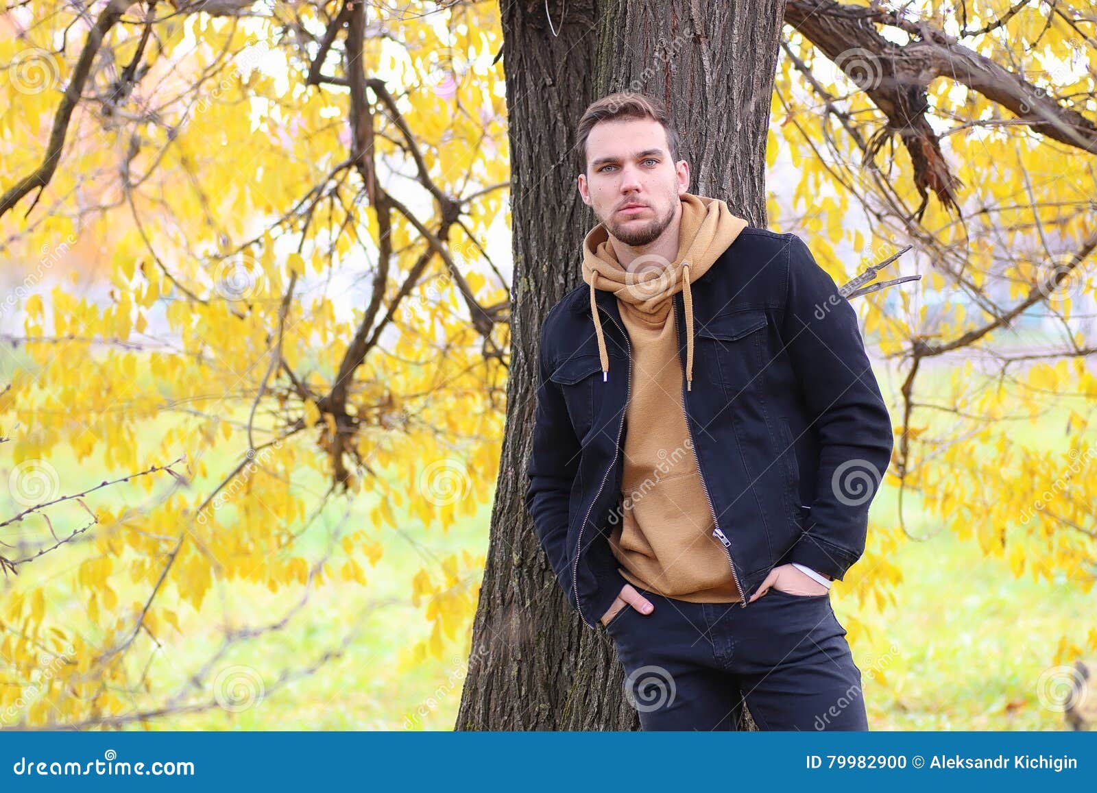 Handsome Beard Man in Autumn Stock Photo - Image of model, bearded ...