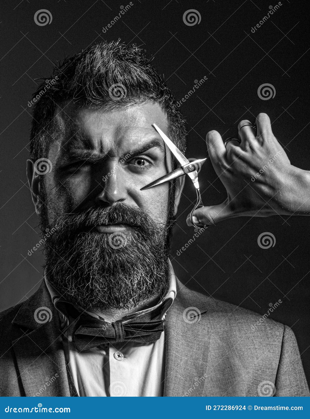 Handsome Bearded Barbershop Sexy Men Macho Long Beard Vintage