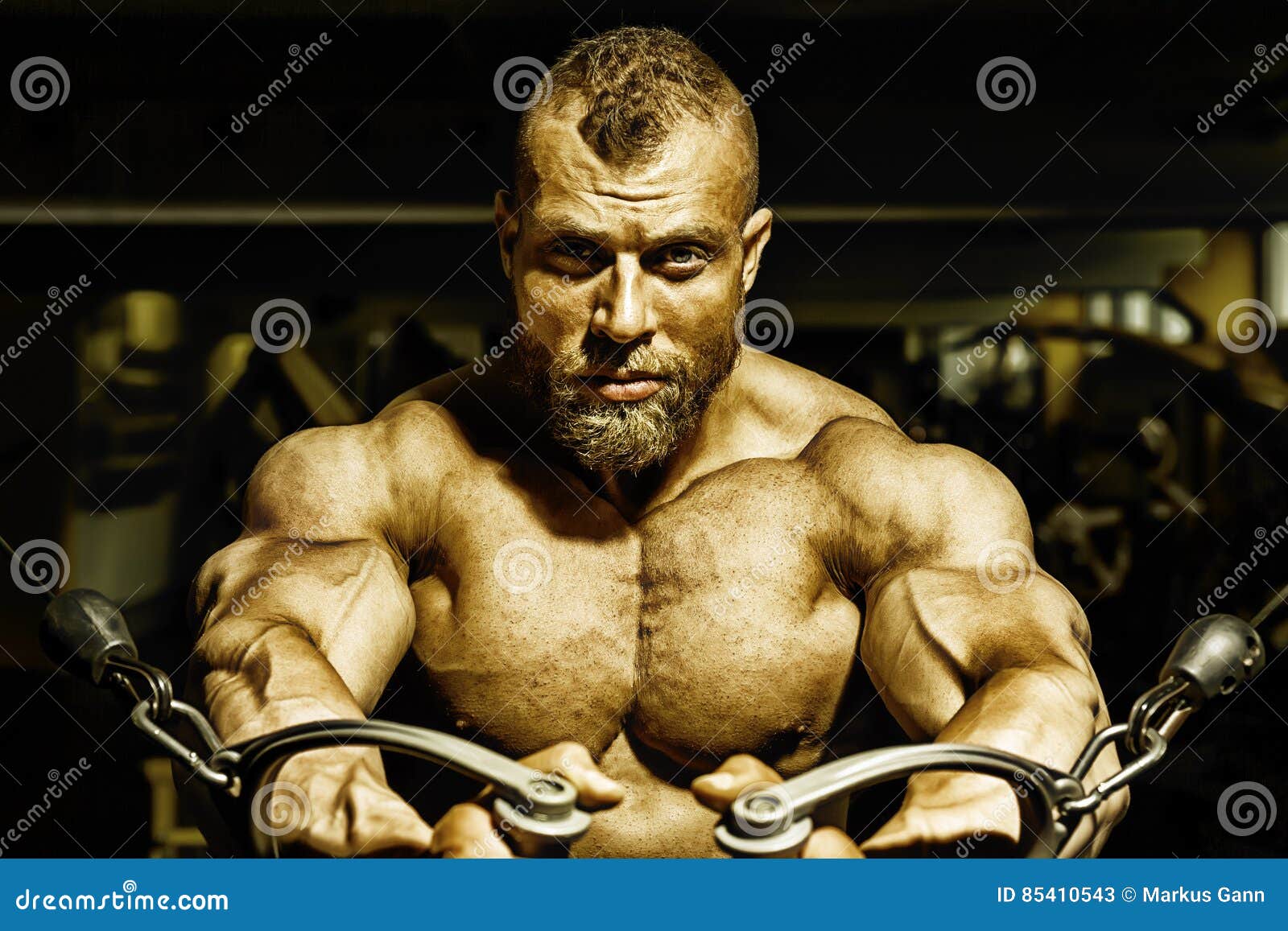 Handsome Bearded Bodybuilding Man Stock Image - Image of power, posing ...