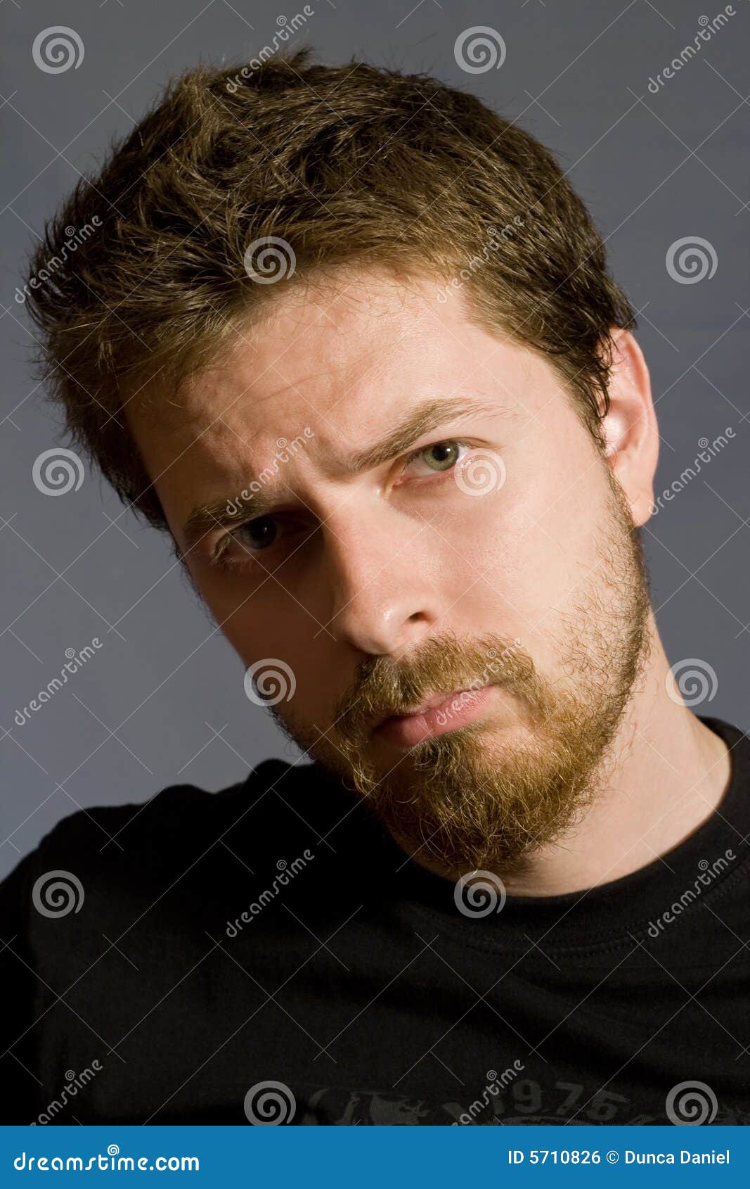 Handsome bearded man stock photo. Image of head, bearded - 5710826