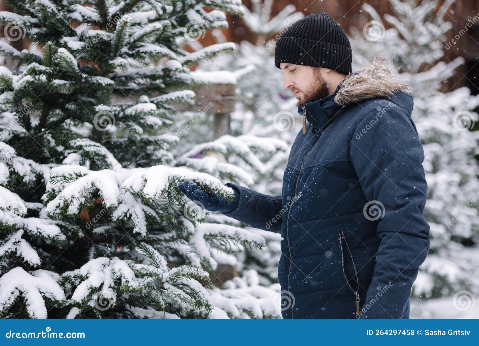 Handsome Bearded Man Chooses a Christmas Tree at the Fair Stock Photo ...