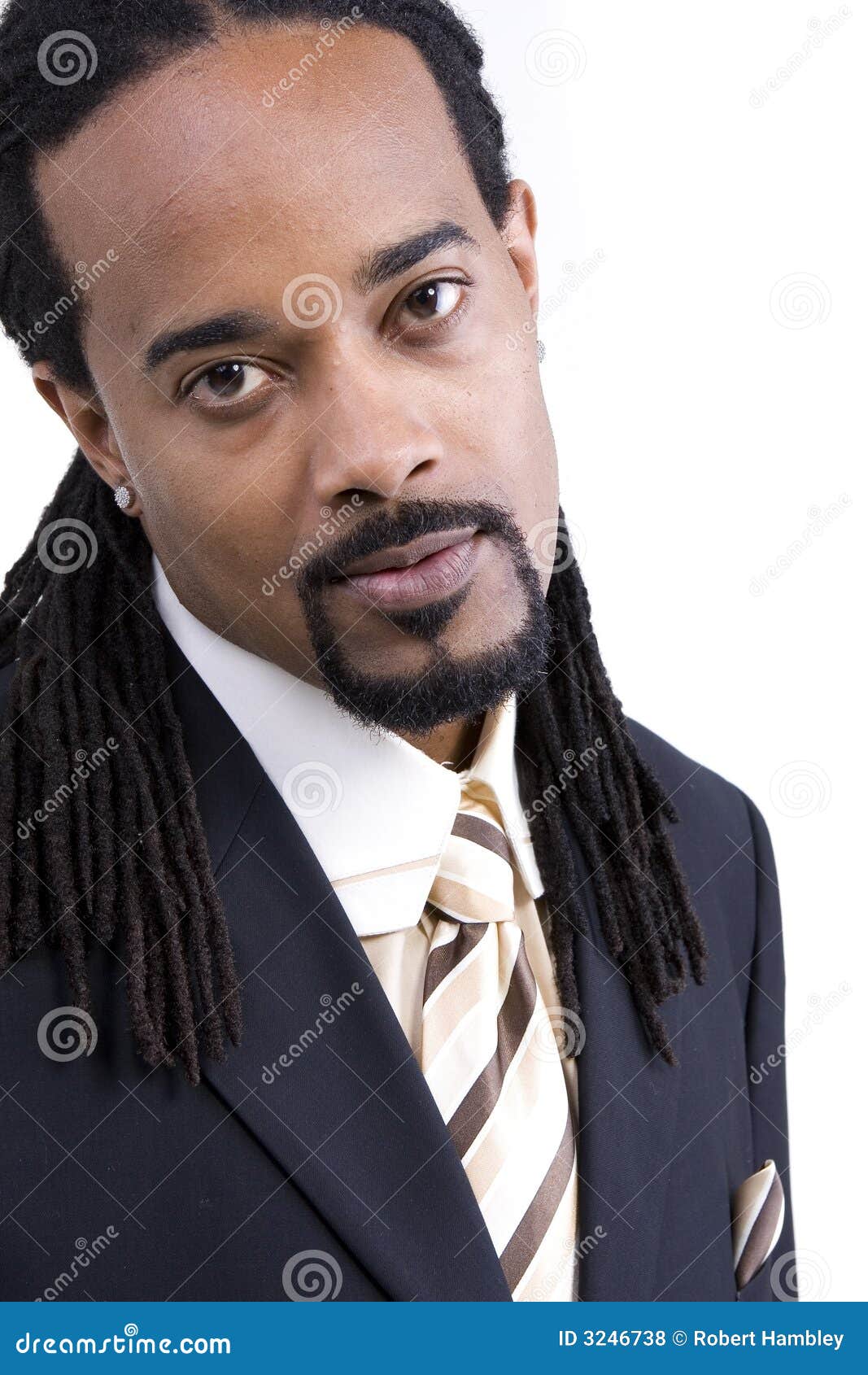 Handsome black businessman stock photo. Image of details - 3246738