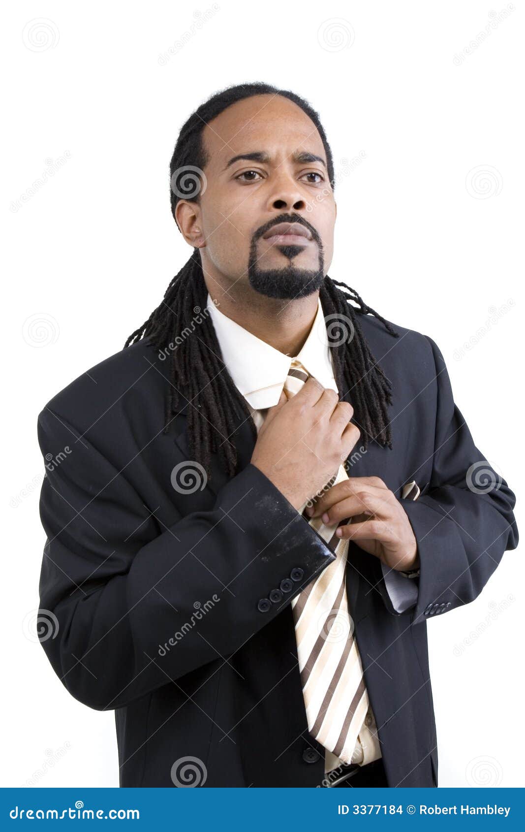 Handsome black businessman stock photo. Image of looks - 3377184