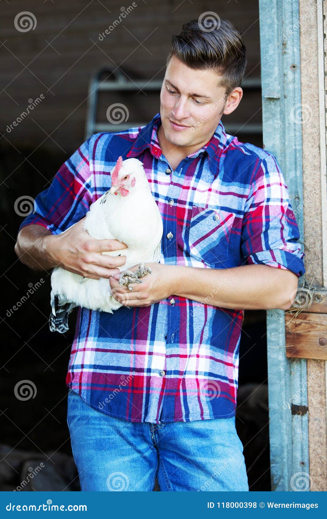 Handsome Blond Man Holding a White Chicken Stock Photo - Image of blond ...