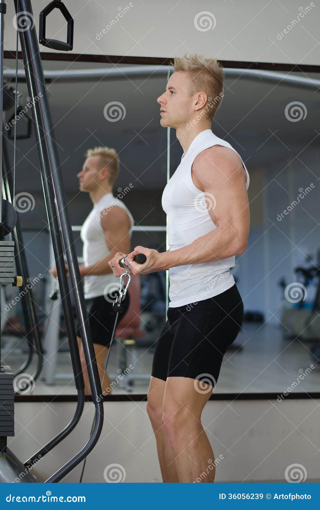 Handsome Blond Young Man Exercising Triceps on Gym Equipment Stock ... Handsome Blond Young Man Exercising Triceps on Gym Equipment Stock ...