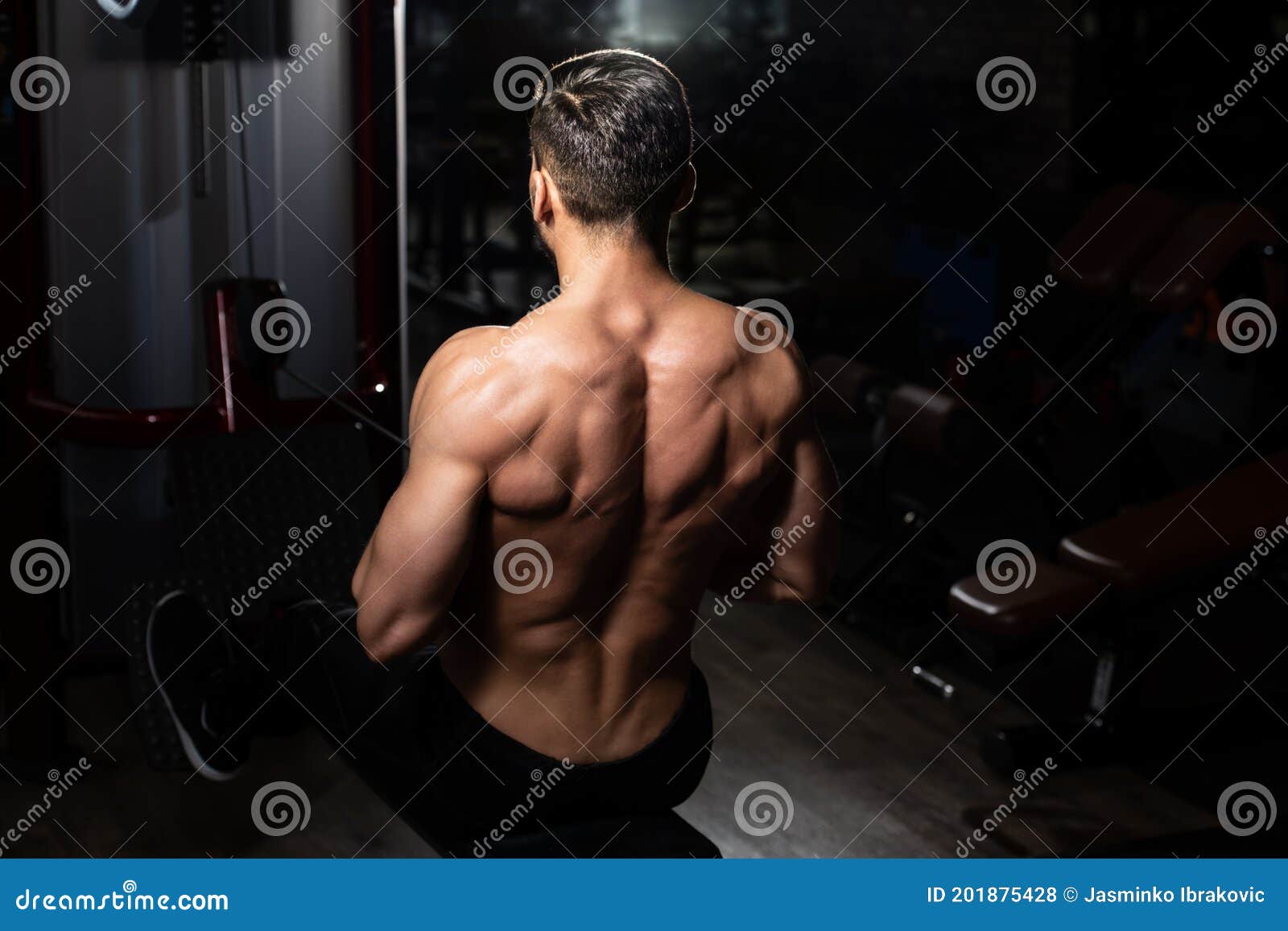 Bodybuilder Exercising Back in Gym Stock Photo - Image of posing ...