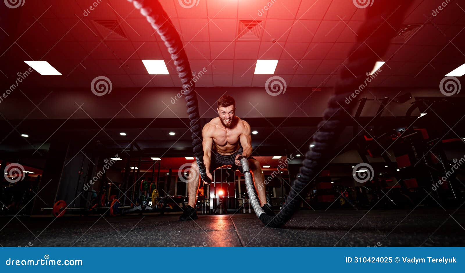 Handsome Bodybuilder Hard Working. Strong Shirtless Man Training Hard ...