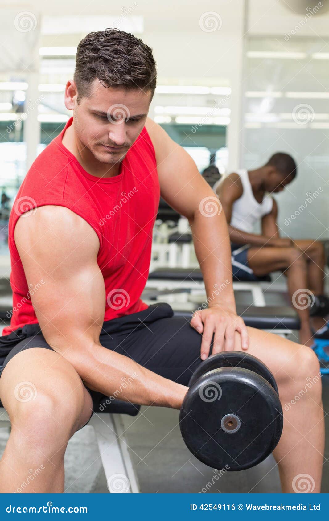 Handsome Bodybuilder Sitting on Bench Lifting Dumbbell Stock Photo ...