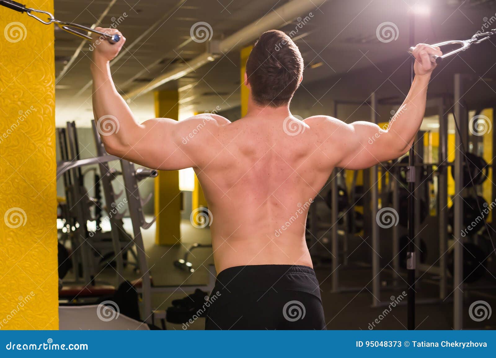 Handsome Bodybuilder Works Out Excercise in Gym Stock Image - Image of ...