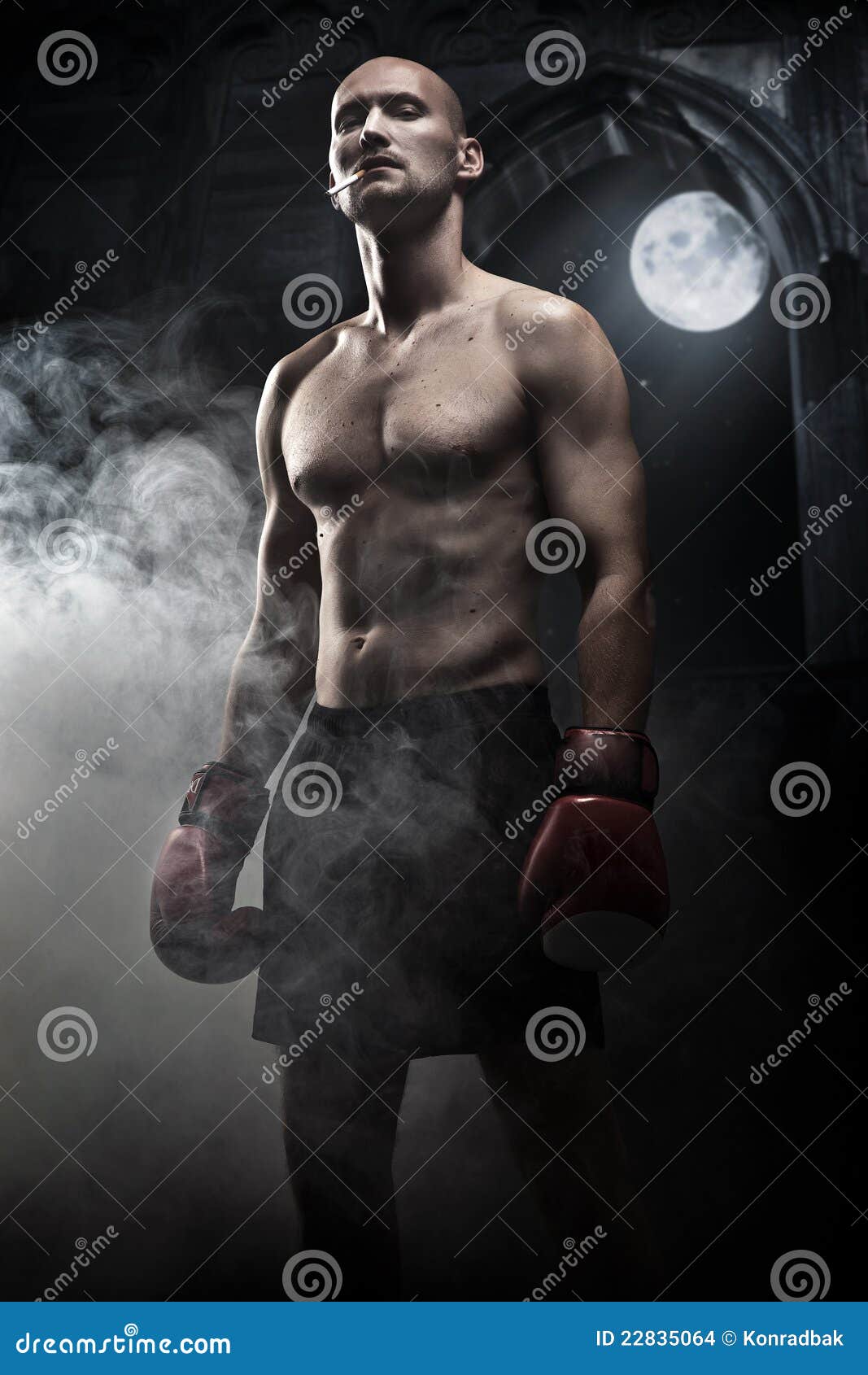 Handsome boxer stock photo. Image of fitness, adult, model - 22835064