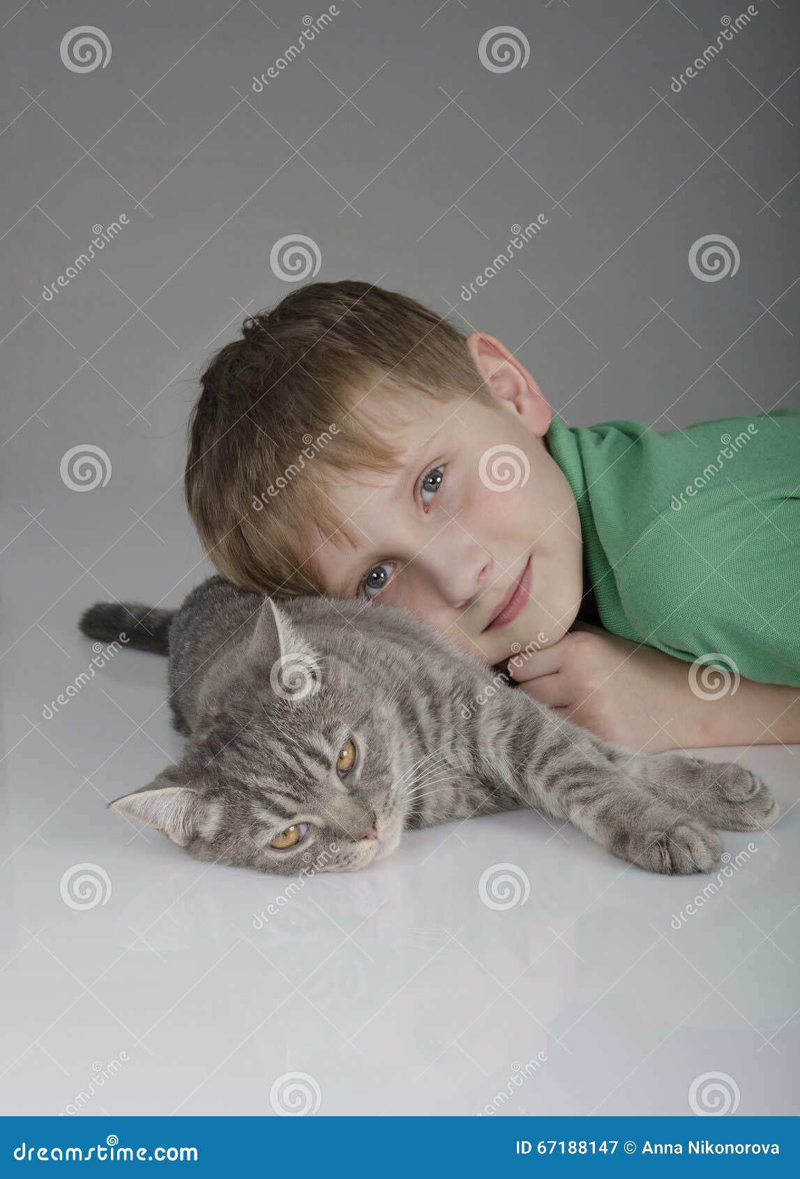 Handsome Boy with a Cute Cat Stock Image - Image of person, people ...