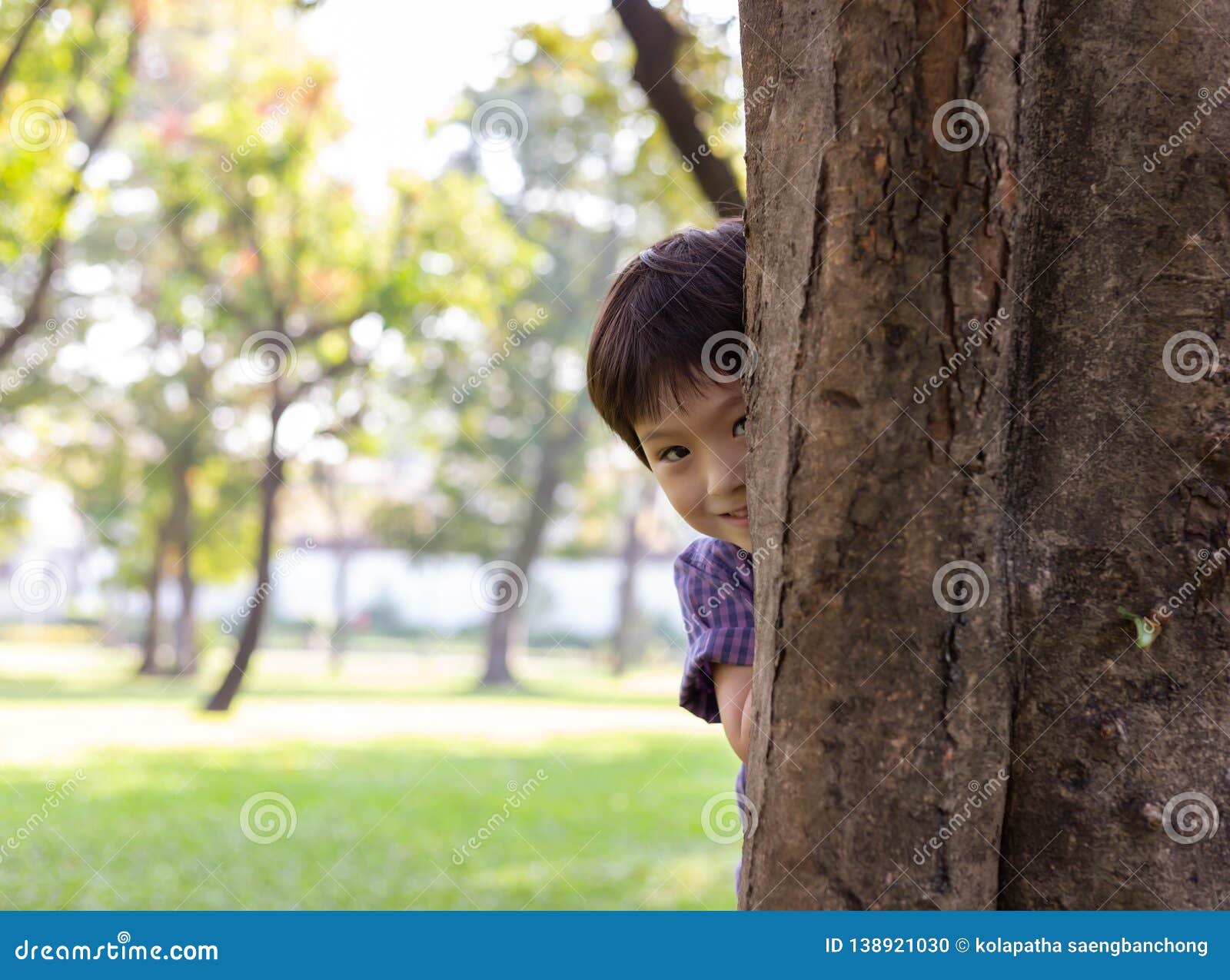 Handsome Boy Hiding Behind Tree for Playing Hide and Seek with Friend ... Handsome Boy Hiding Behind Tree for Playing Hide and Seek with Friend ...