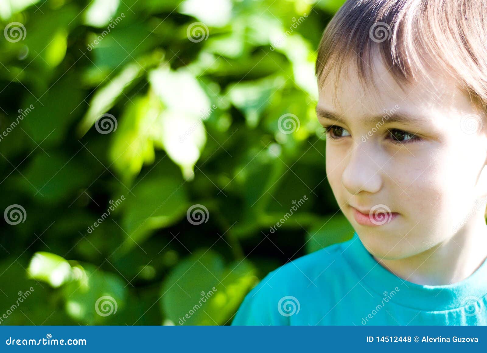 Handsome boy of nature stock photo. Image of child, innocence - 14512448