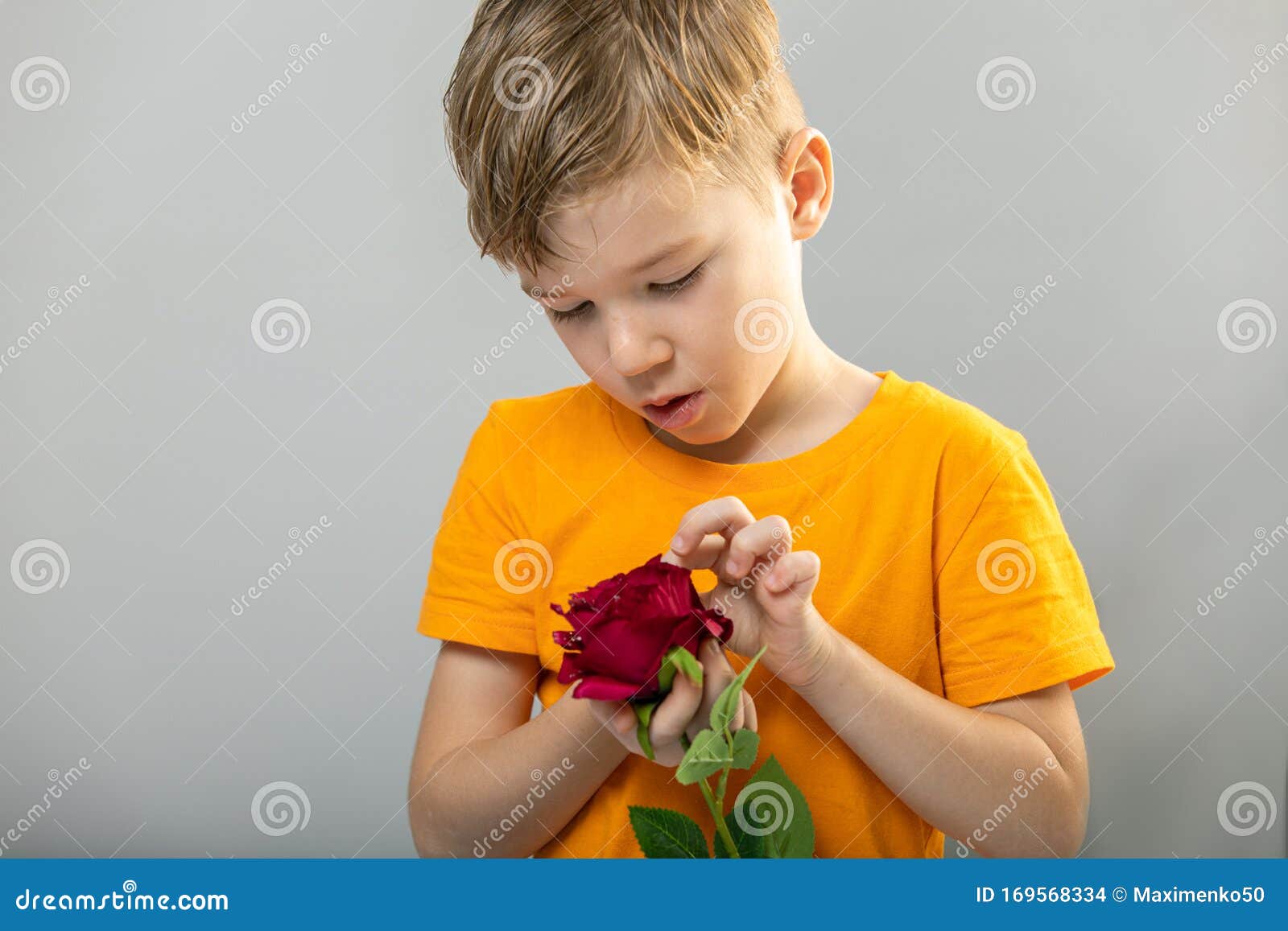 Handsome Boy with Rose Flower in Hands. Copy Space Stock Photo - Image ...