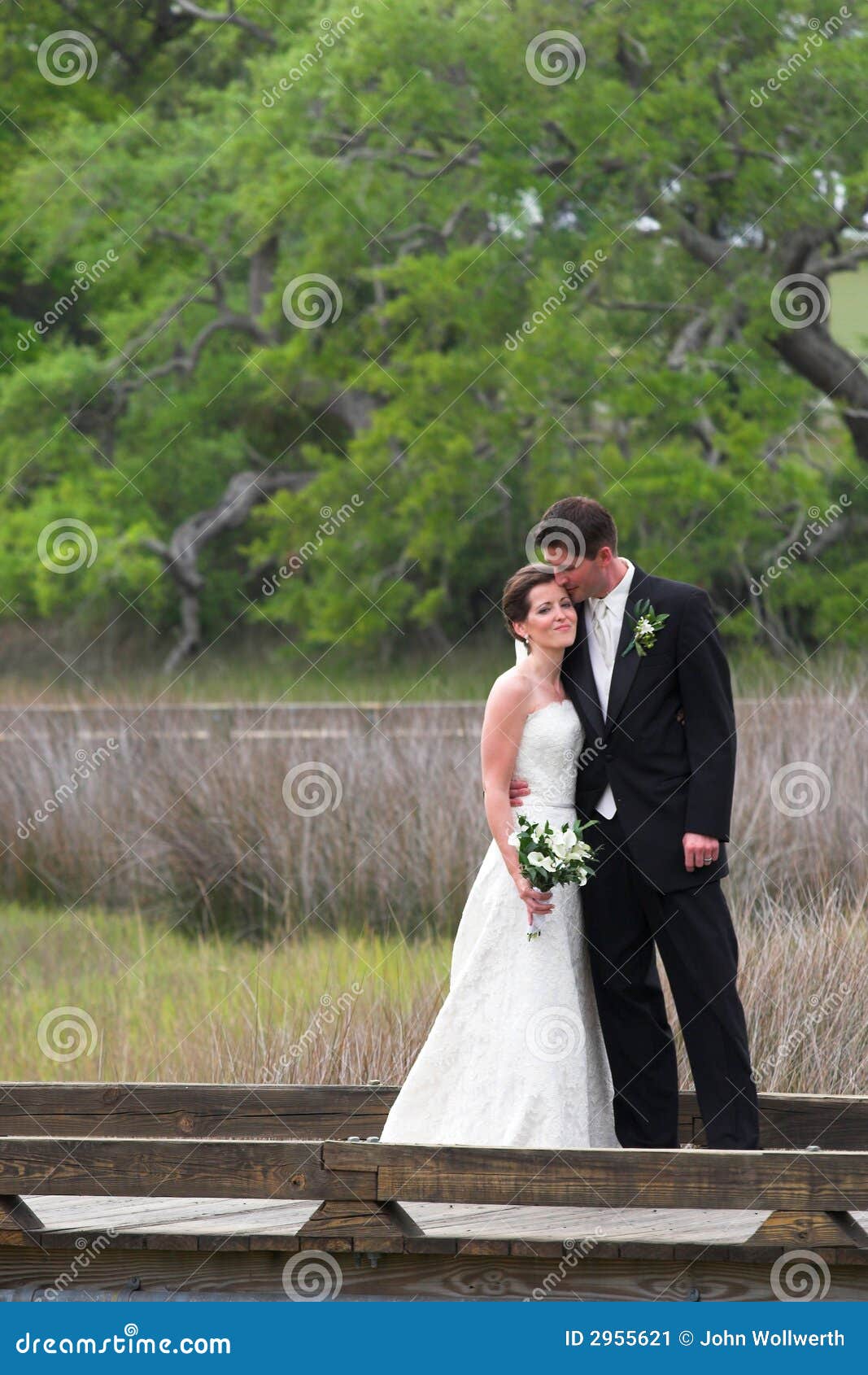 Handsome bride and groom stock image. Image of hope, model - 2955621