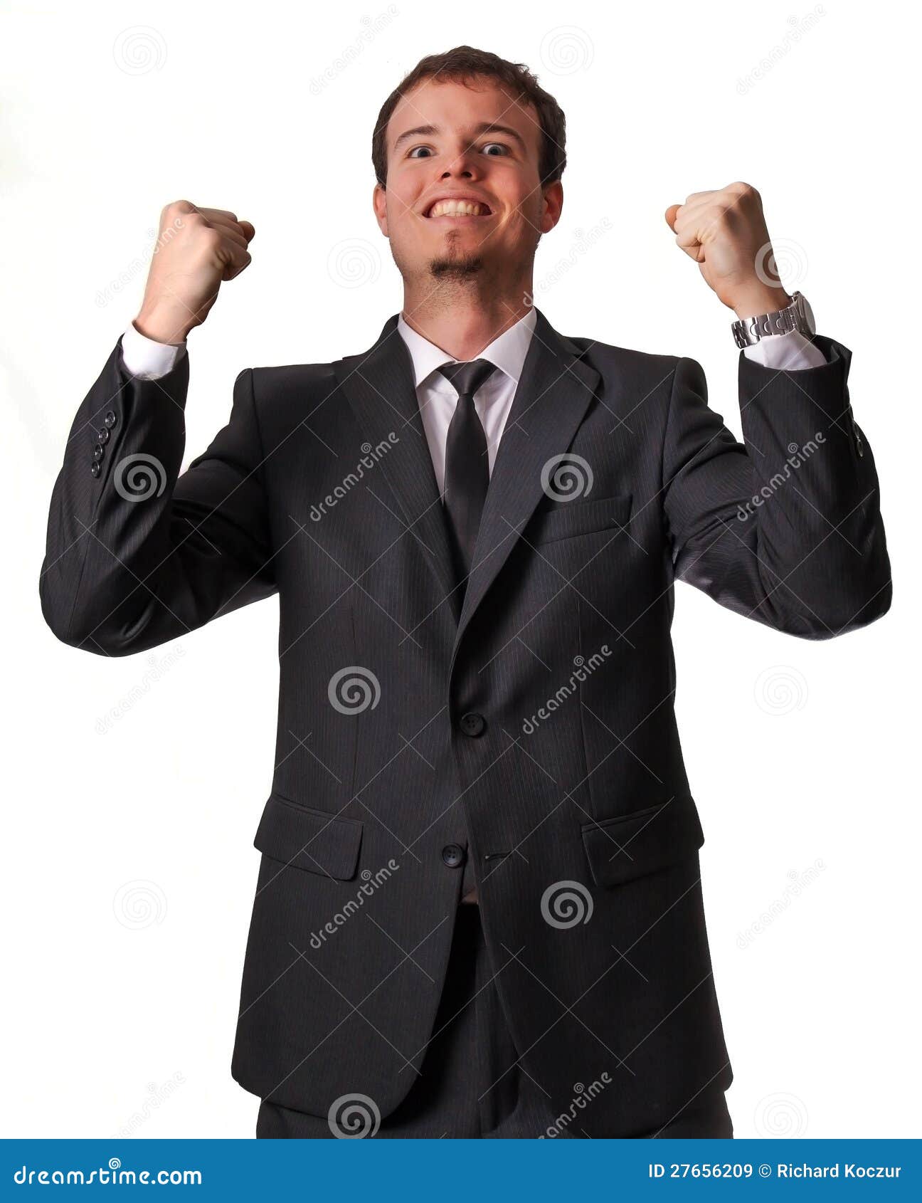Handsome Business Man Success Stock Image - Image of businessman ...