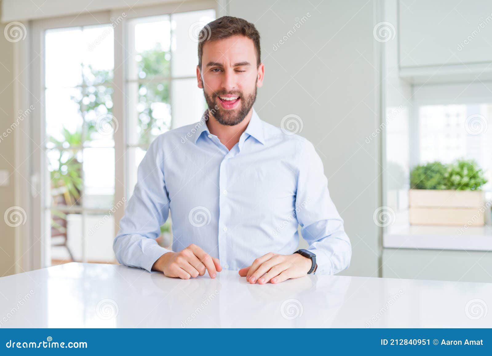 Handsome Business Man Winking Looking at the Camera with Expression ...