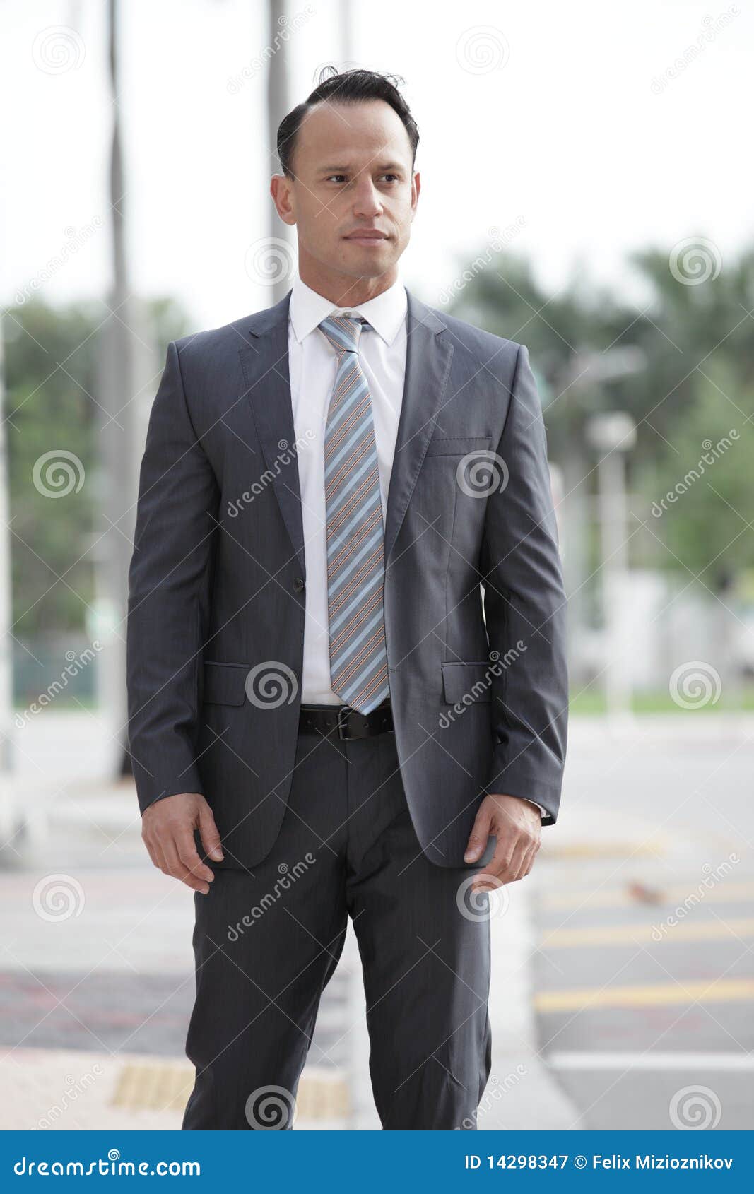 Handsome businessman stock image. Image of color, attractive - 14298347