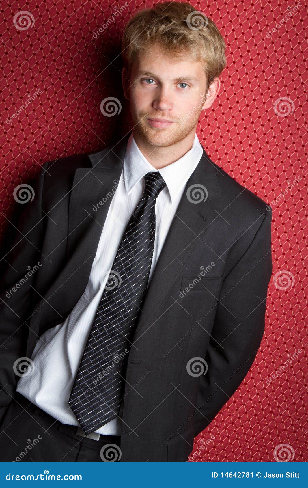 Handsome Businessman stock image. Image of beard, wallpaper - 14642781