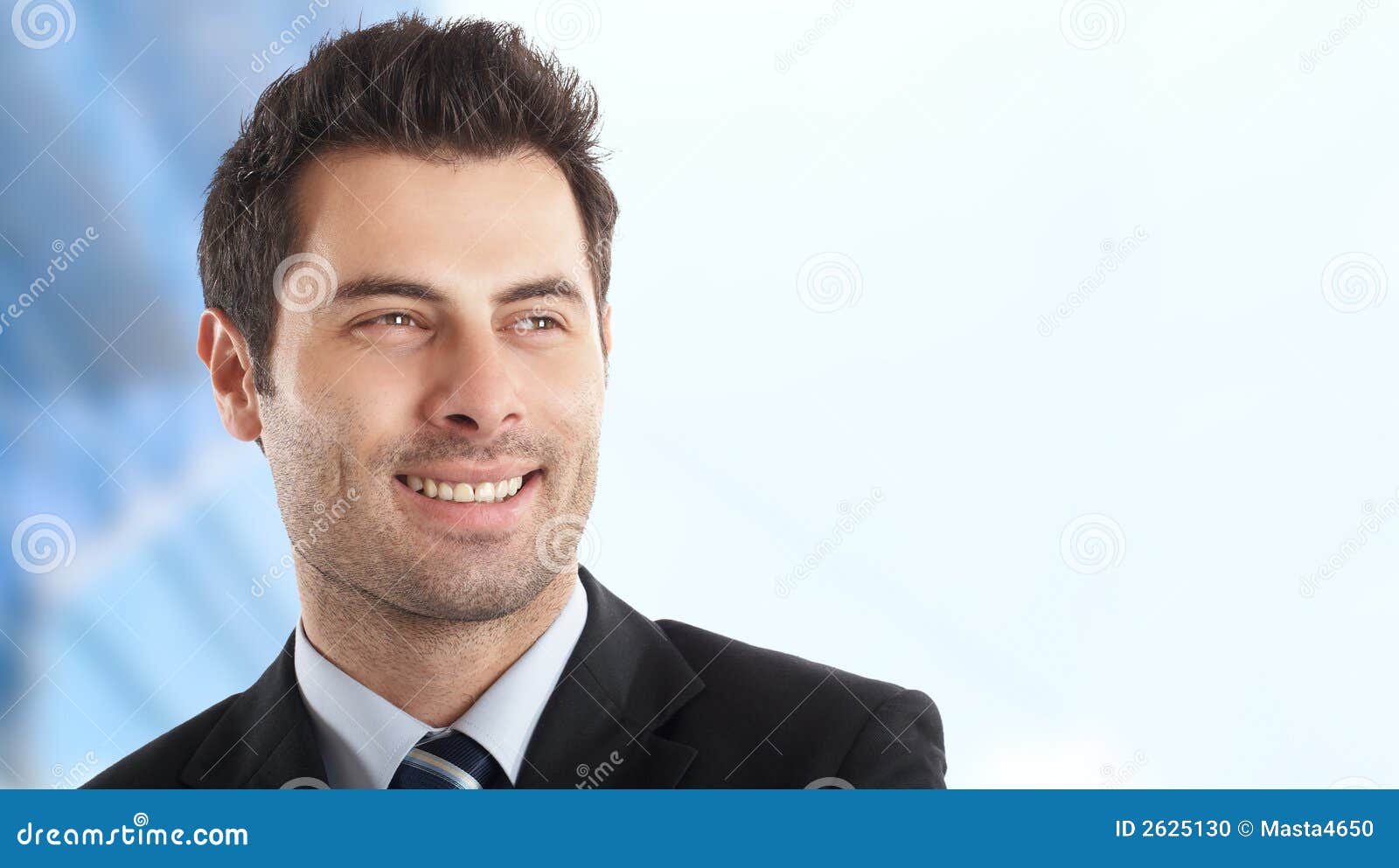 Handsome Businessman stock photo. Image of formal, entrepreneur - 2625130