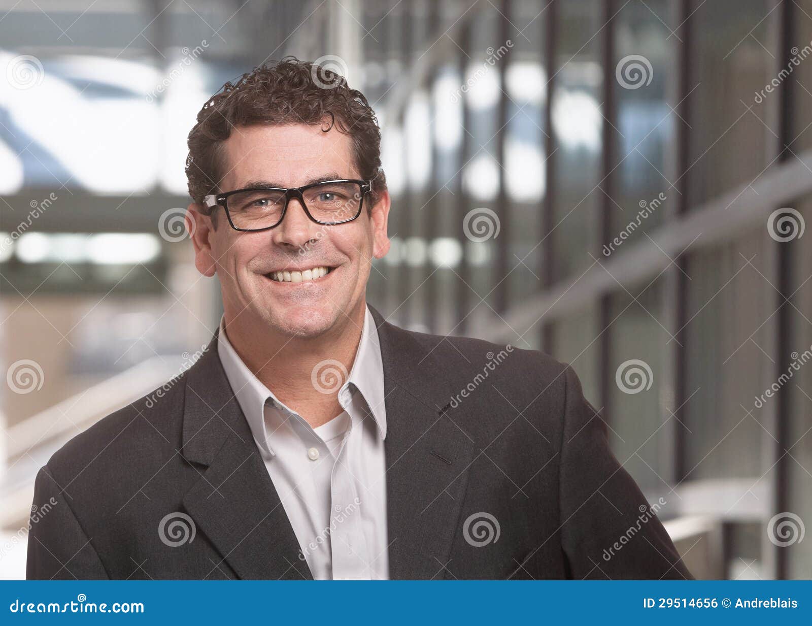 Handsome businessman stock photo. Image of laughing, corporate - 29514656