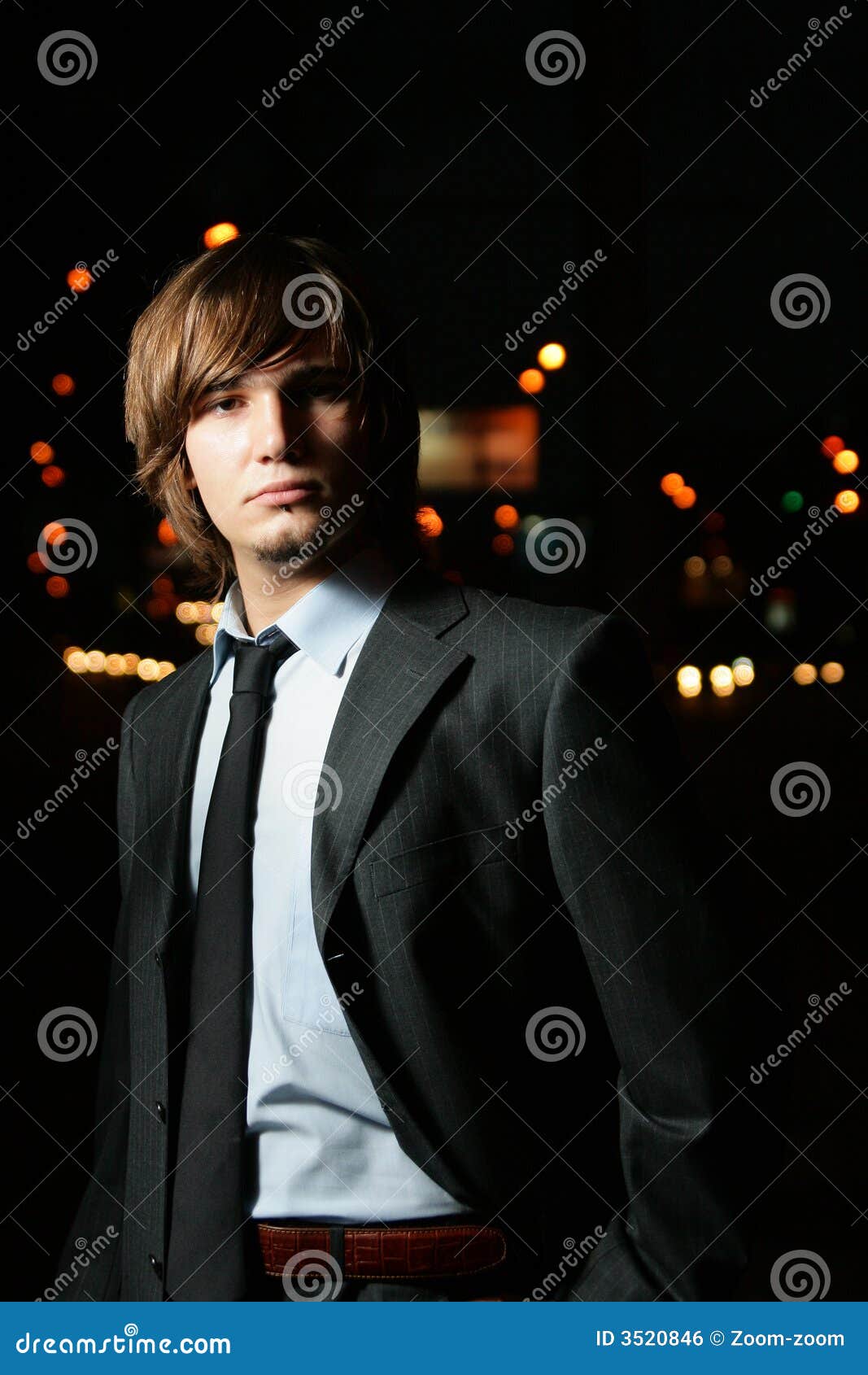 Handsome businessman stock photo. Image of handsome, executive - 3520846