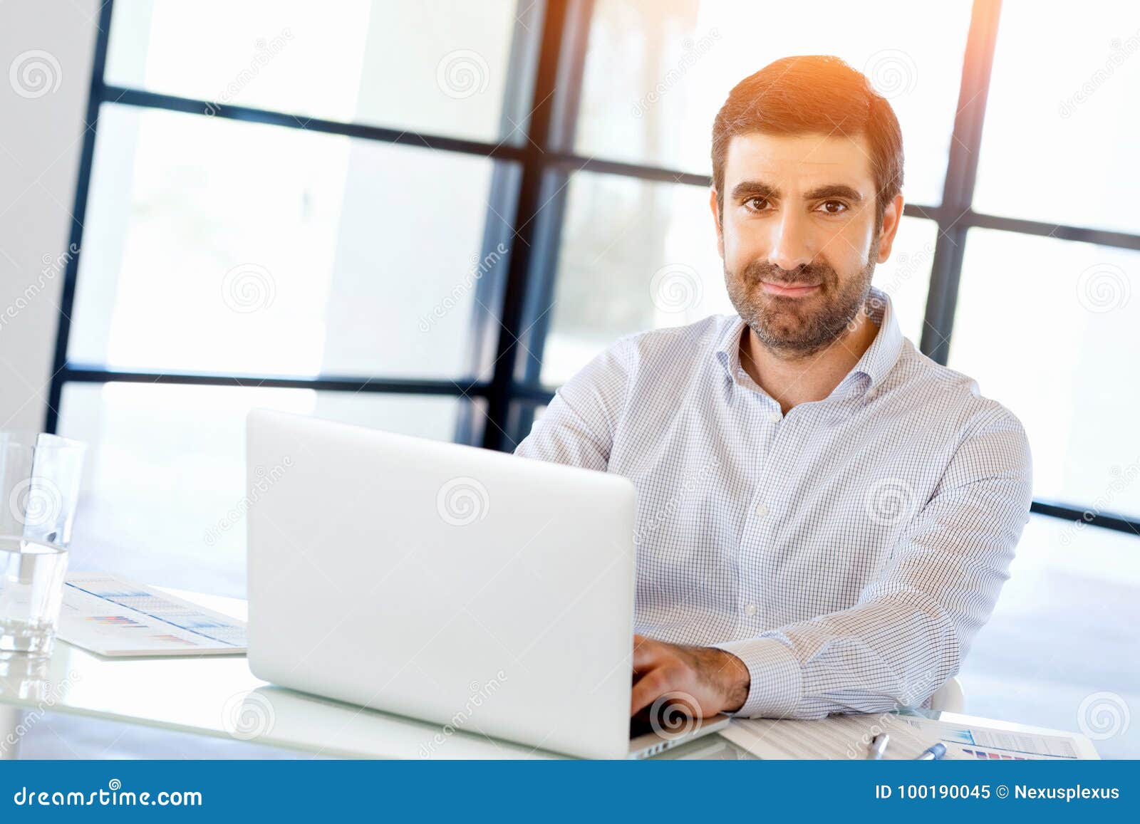 Handsome Businessman Working at Computer Stock Image - Image of adult ...