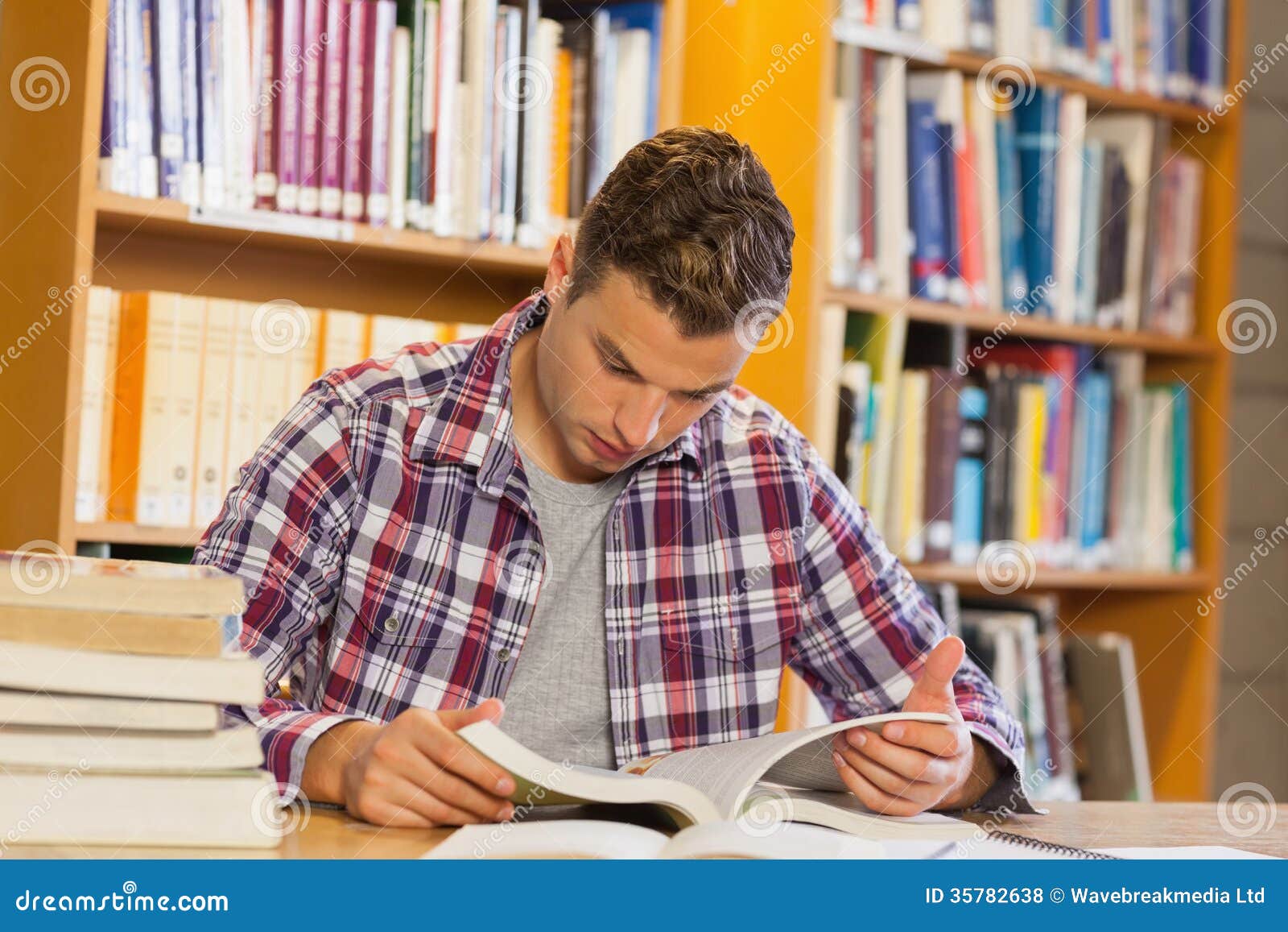 Handsome Calm Student Studying His Books Stock Photo - Image of study ...