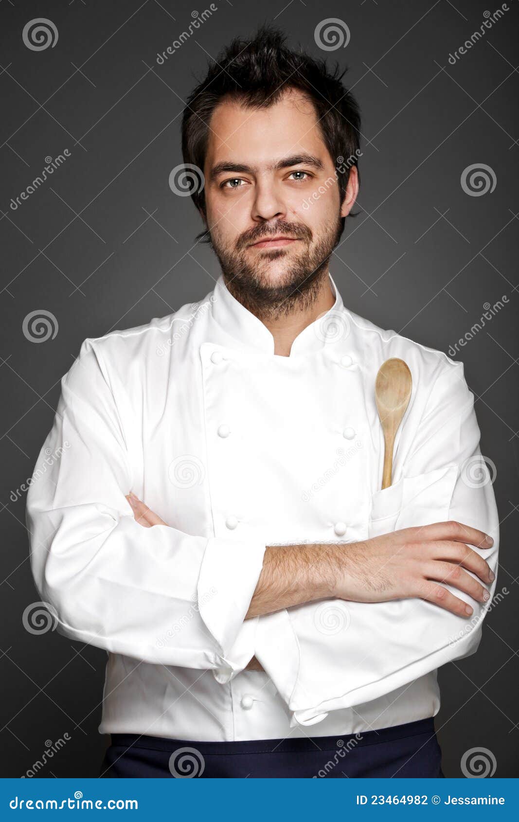 Handsome chef stock photo. Image of healthy, crossed - 23464982