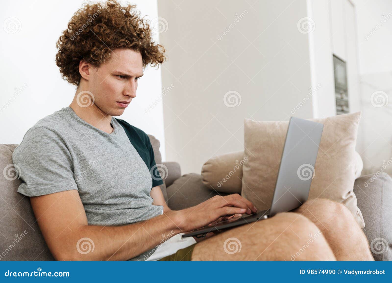 Handsome Concentrated Man Sitting at Sofa Using Laptop Stock Photo ...