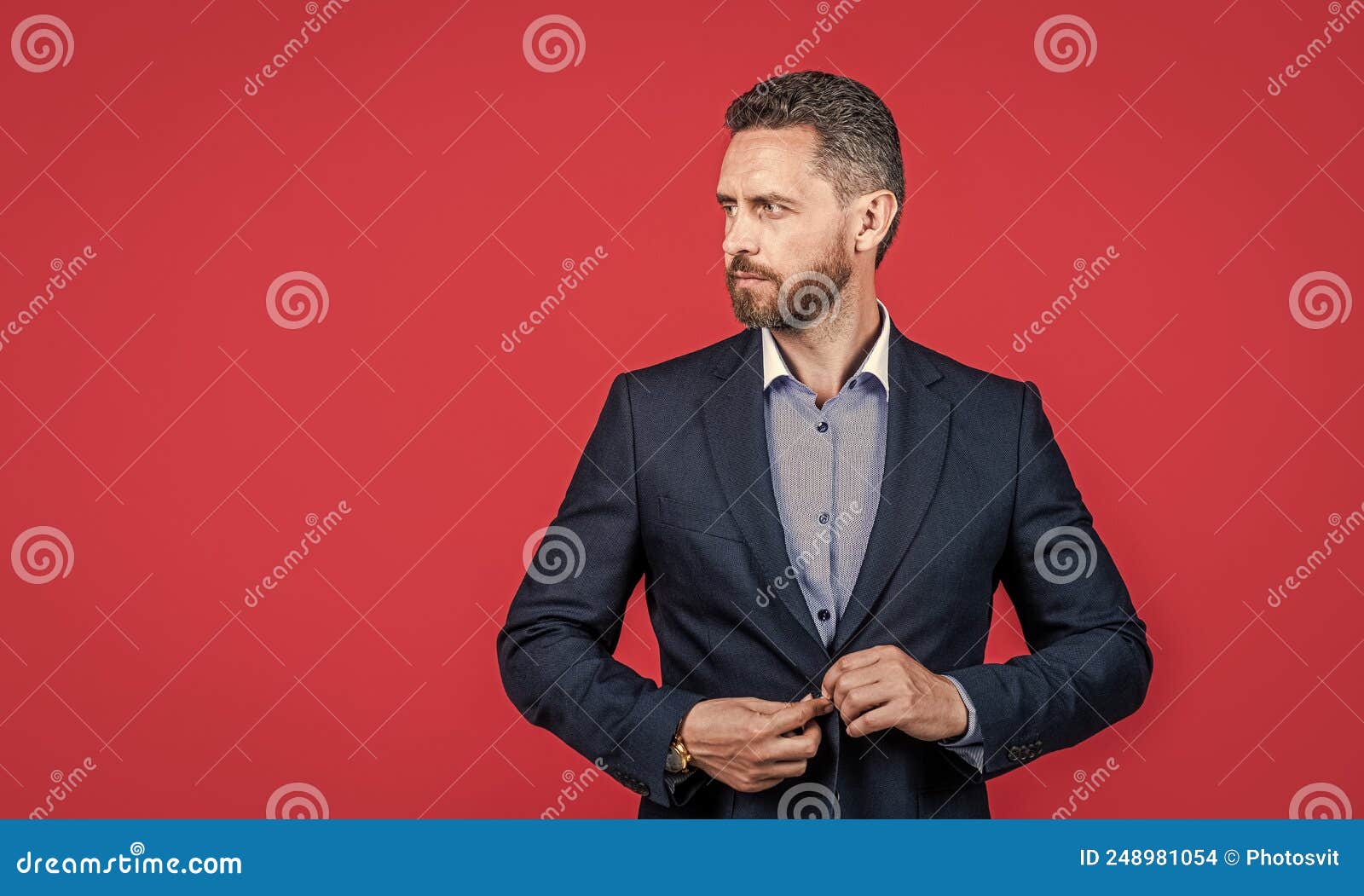 Handsome Confident Ceo in Formal Suit, Copy Space, Success Stock Photo ...