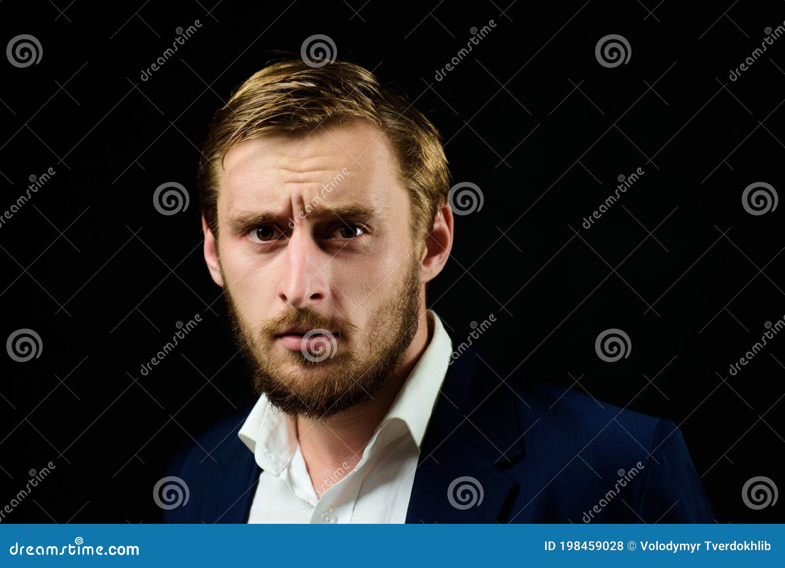 Handsome Confident Man. Serious Guy Posing in Studio. Stock Photo ...
