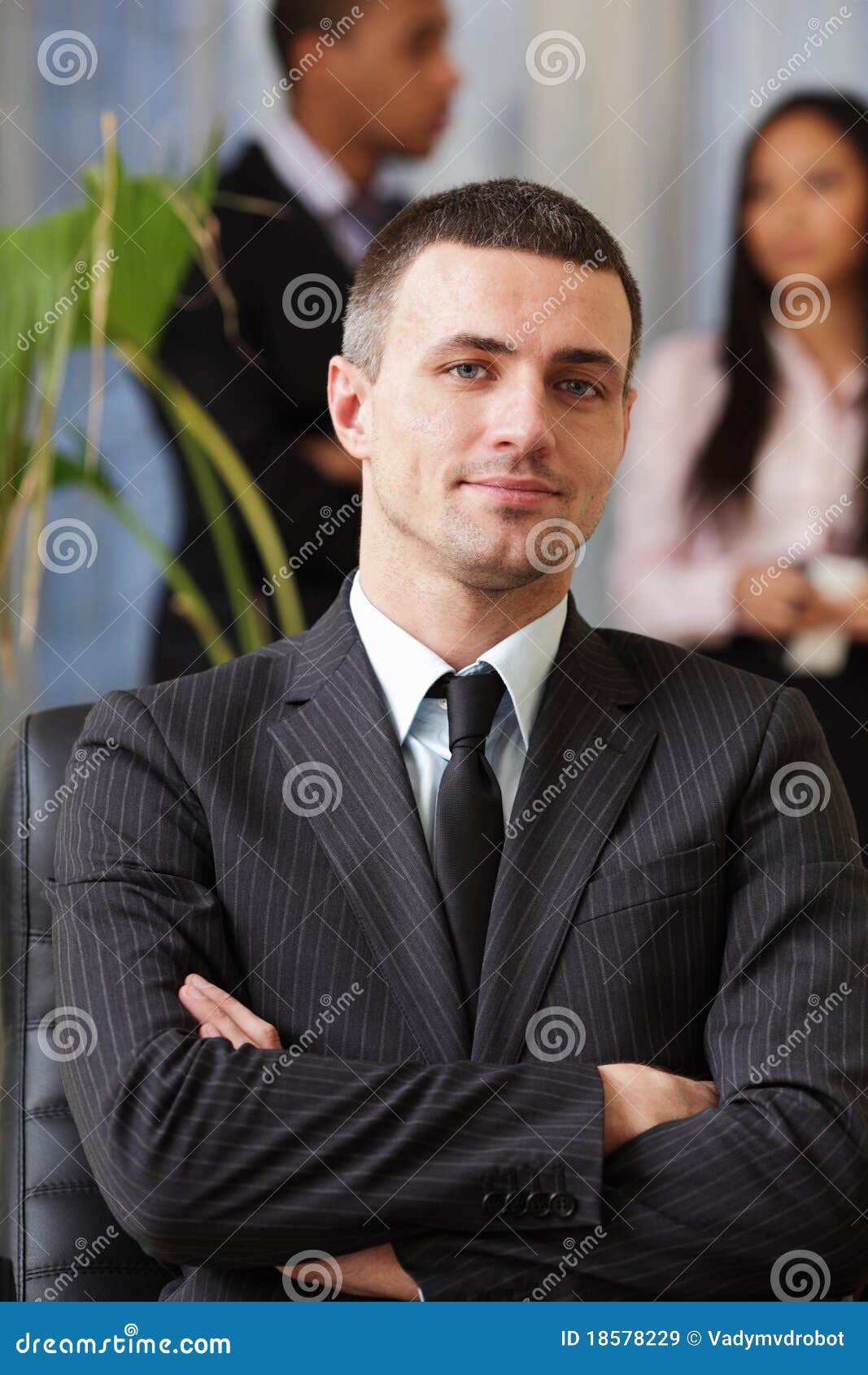 Handsome Executive Businessman Stock Image - Image of businessman ...