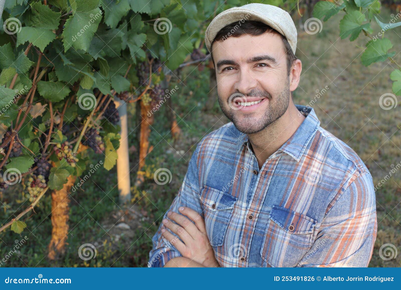 Handsome Farmer in Beautiful Vineyard Stock Photo - Image of male ...