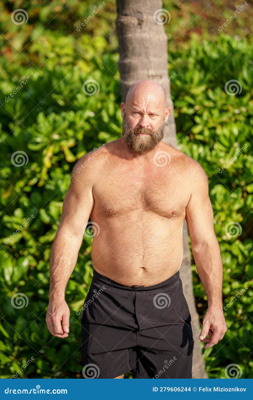 Handsome Florida Man on the Beach Stock Photo - Image of aged, middle ...