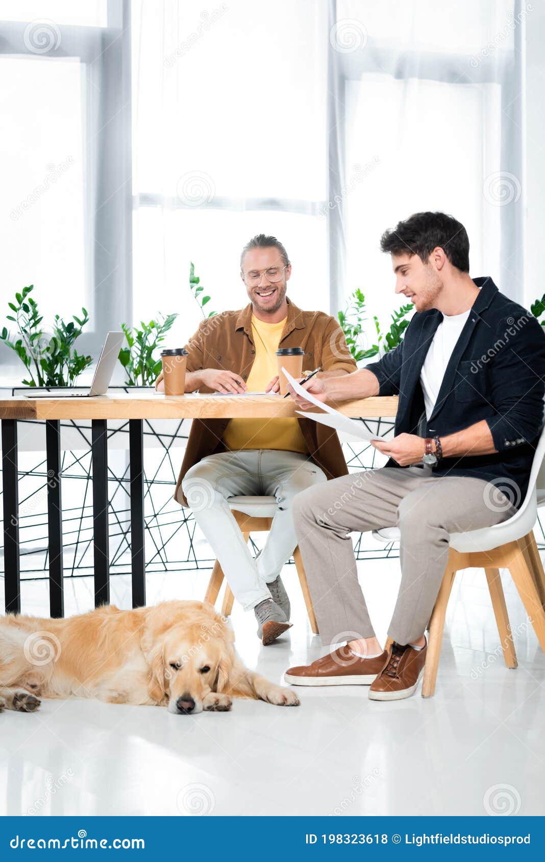 Handsome Friends Smiling and Doing Paperwork in Office Stock Photo ...