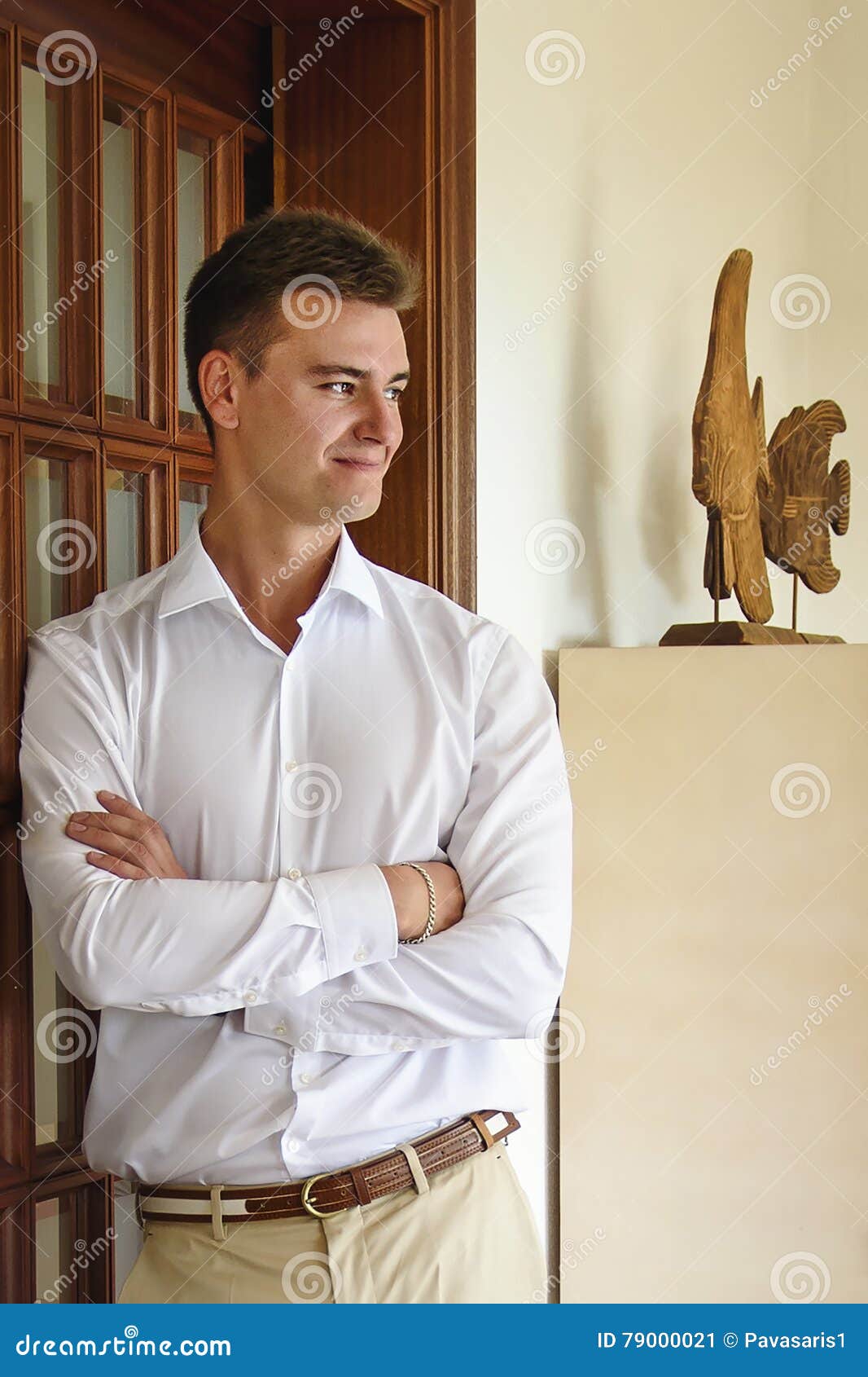 Handsome groom stock image. Image of style, suit, button - 79000021