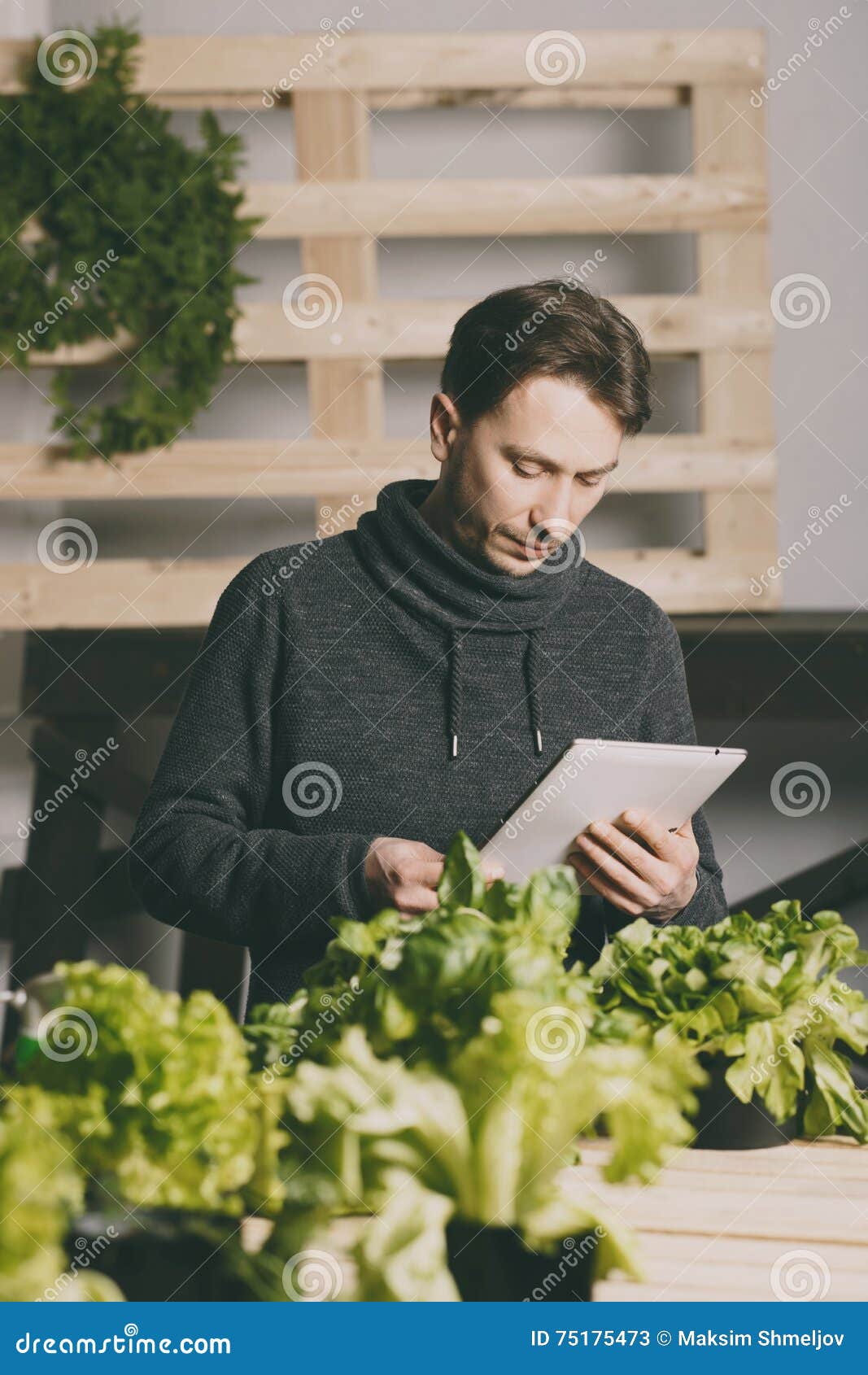 Handsome Grower Using His Tablet while Growing Plants Stock Image ...
